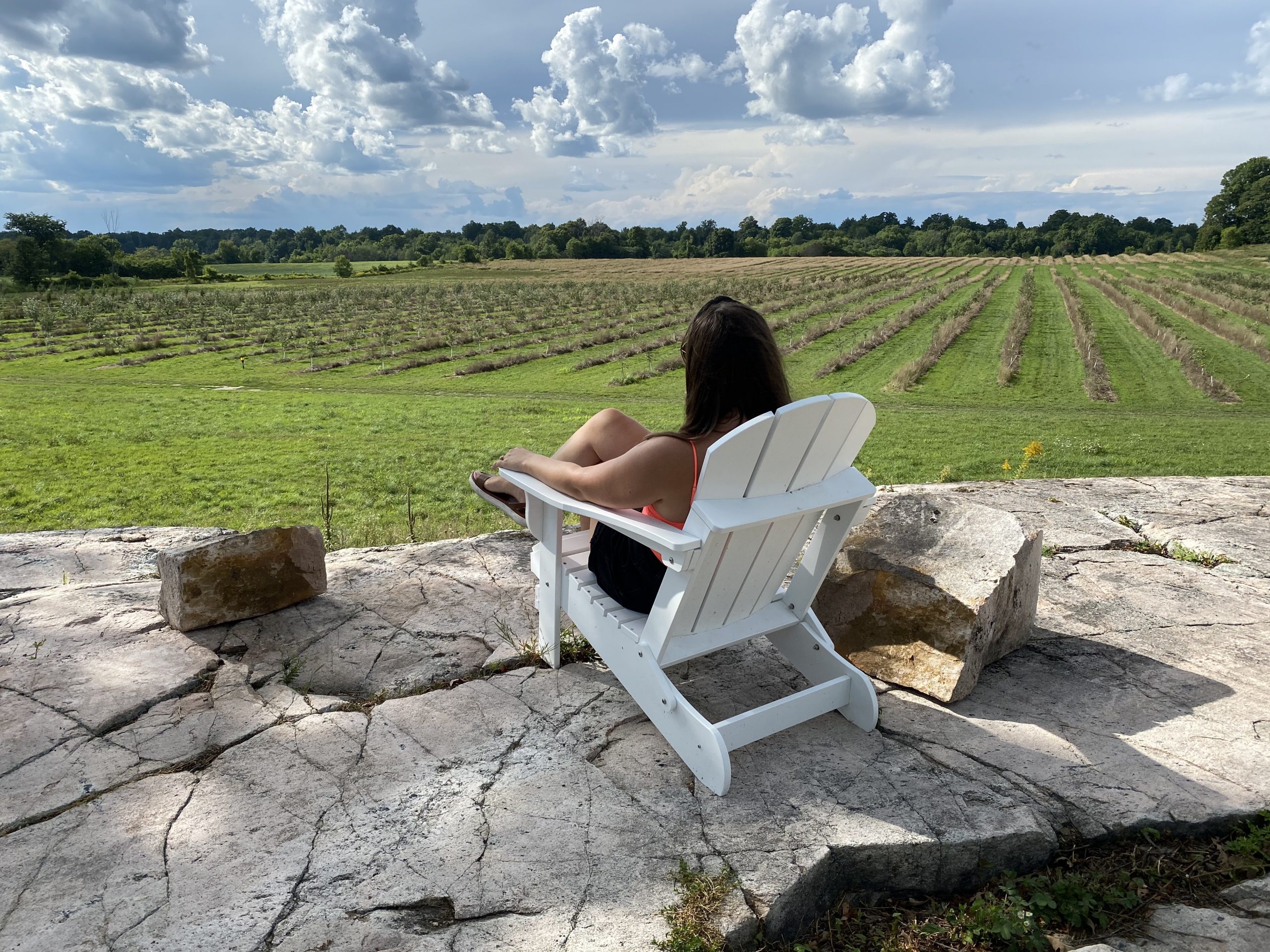 BUSL Cider in Mallorytown, Ontario: An Ontario Cidery With a Twist ...