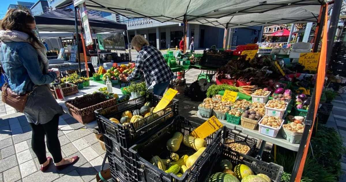 The Ottawa Farmers' Market at Lansdowne Park: Everything You Need To ...