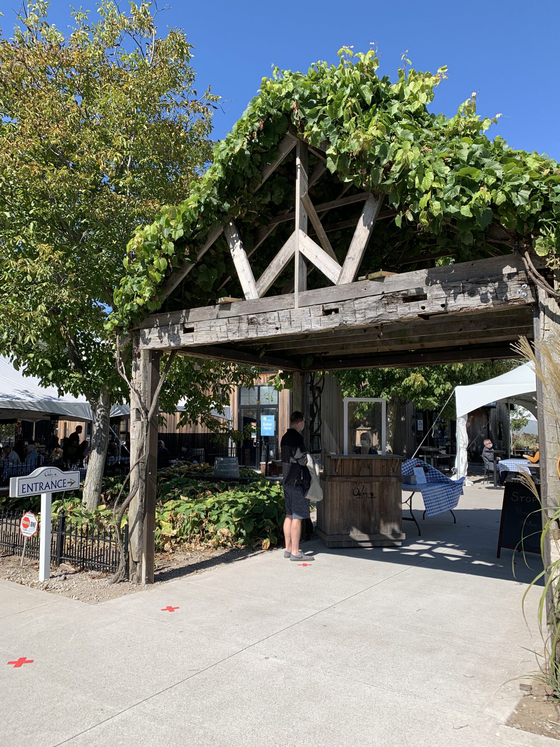 A Visit to Essex County Wineries in Southern Ontario - Ultimate Ontario