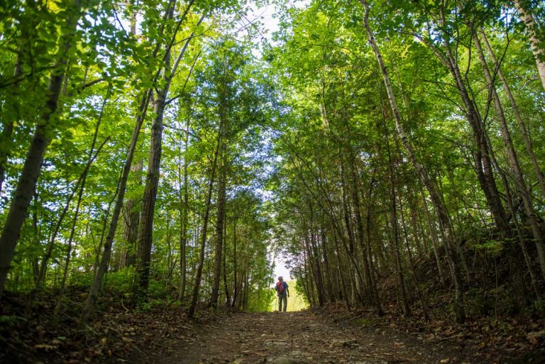 Amazing Hikes in Toronto: The Best Toronto Trails to Escape the ...
