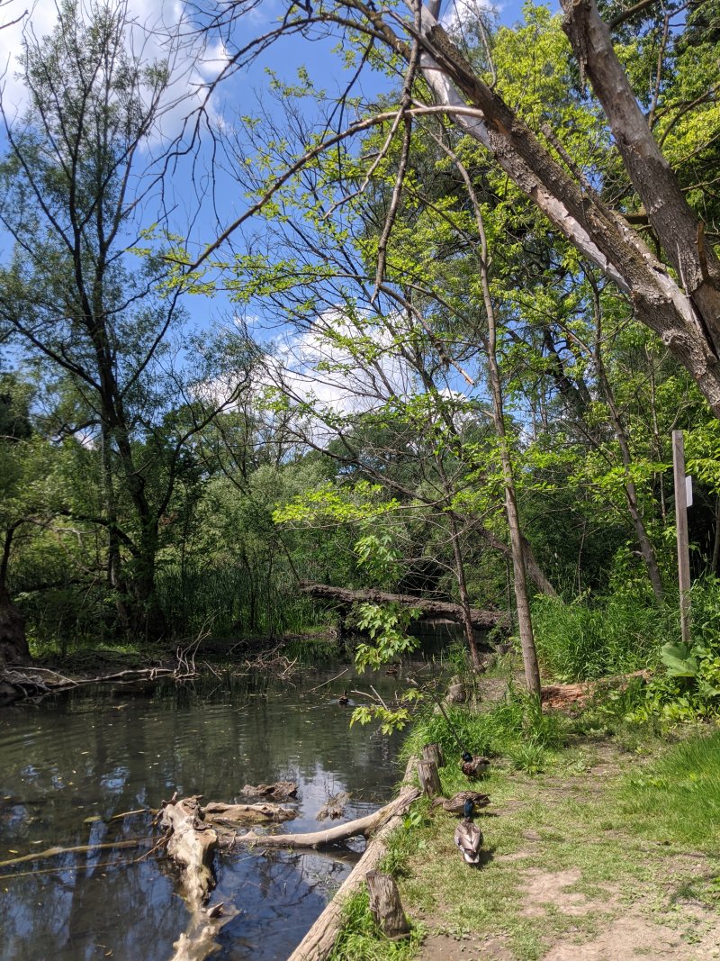 The 7 Best Parks in Toronto to Visit This Summer - Ultimate Ontario