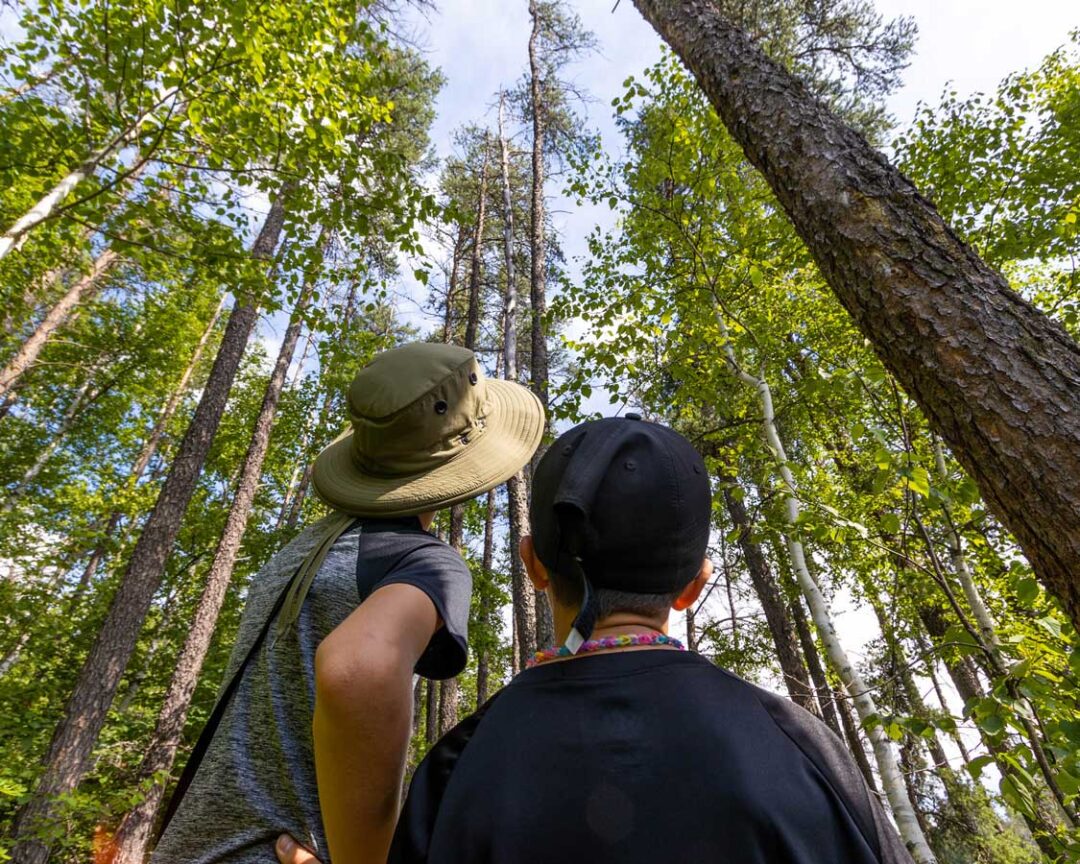 Waterfalls, Lakes, and Polar Bears: The Boreal Route is One of Ontario ...