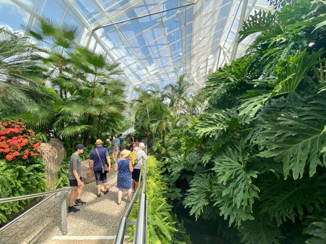 Visiting the Niagara Parks Butterfly Conservatory: One of the Largest ...