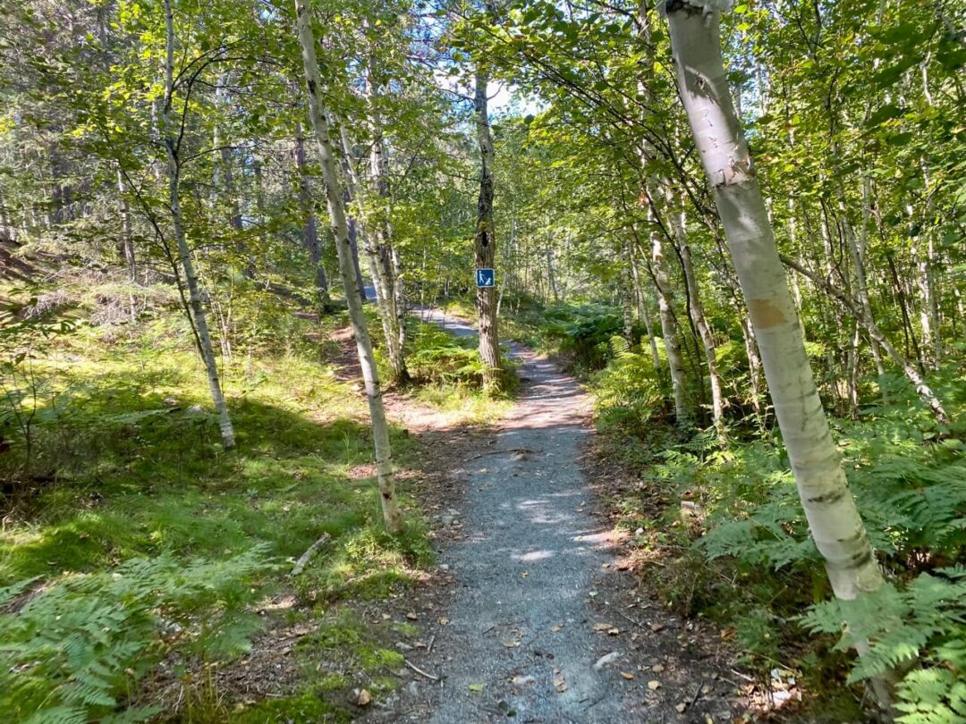 Kivi Park in Sudbury, Ontario: Almost 500 Acres of Northern Forest and ...