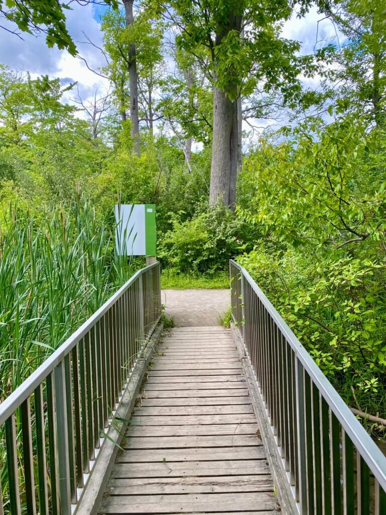 The Dufferin Islands in Niagara Falls: Secluded Greenspace in the Heart ...