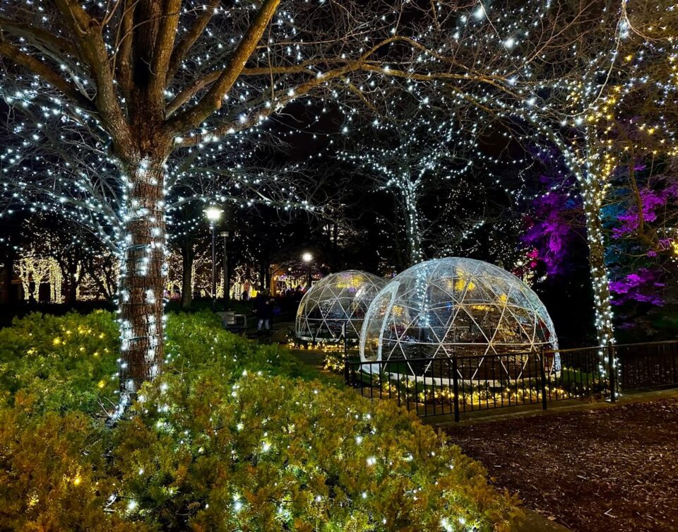 WinterFest at Canada's Wonderland: Your Complete Guide to Vaughan's ...