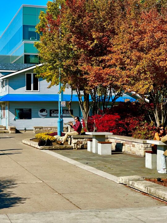 The Top Things to Do in Port Credit: A Charming Waterfront Community ...