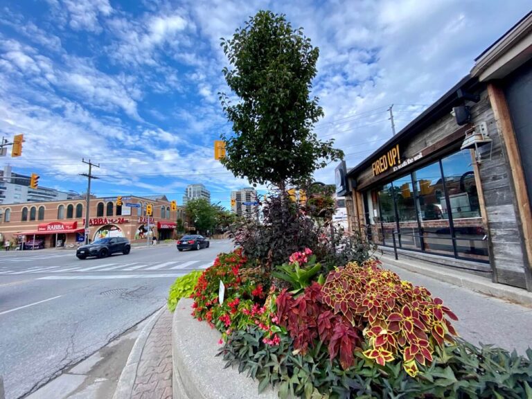 The Top Things to Do in Port Credit: A Charming Waterfront Community ...