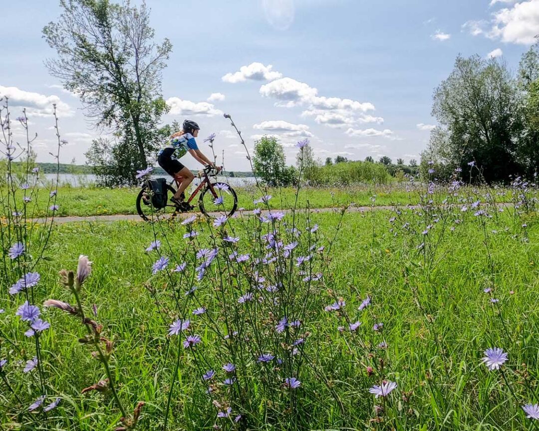 Things to Do in Brockville: Unlock the Hidden Gems Of The Thousand ...