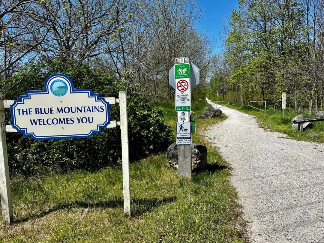 Georgian Trail E-Bike Rentals Are Changing the Way You Can Explore ...