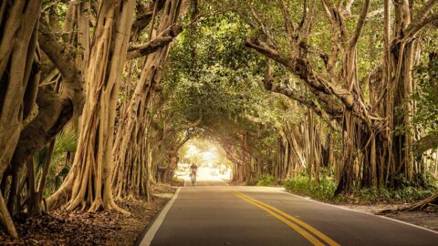 Ten of the Best Ontario Bike Trails for Unforgettable Rides - Ultimate ...
