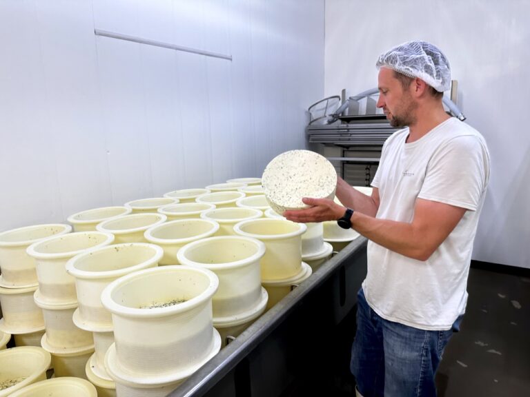 The Oxford County Cheese Trail: Come for the Dairy, Stay for the ...