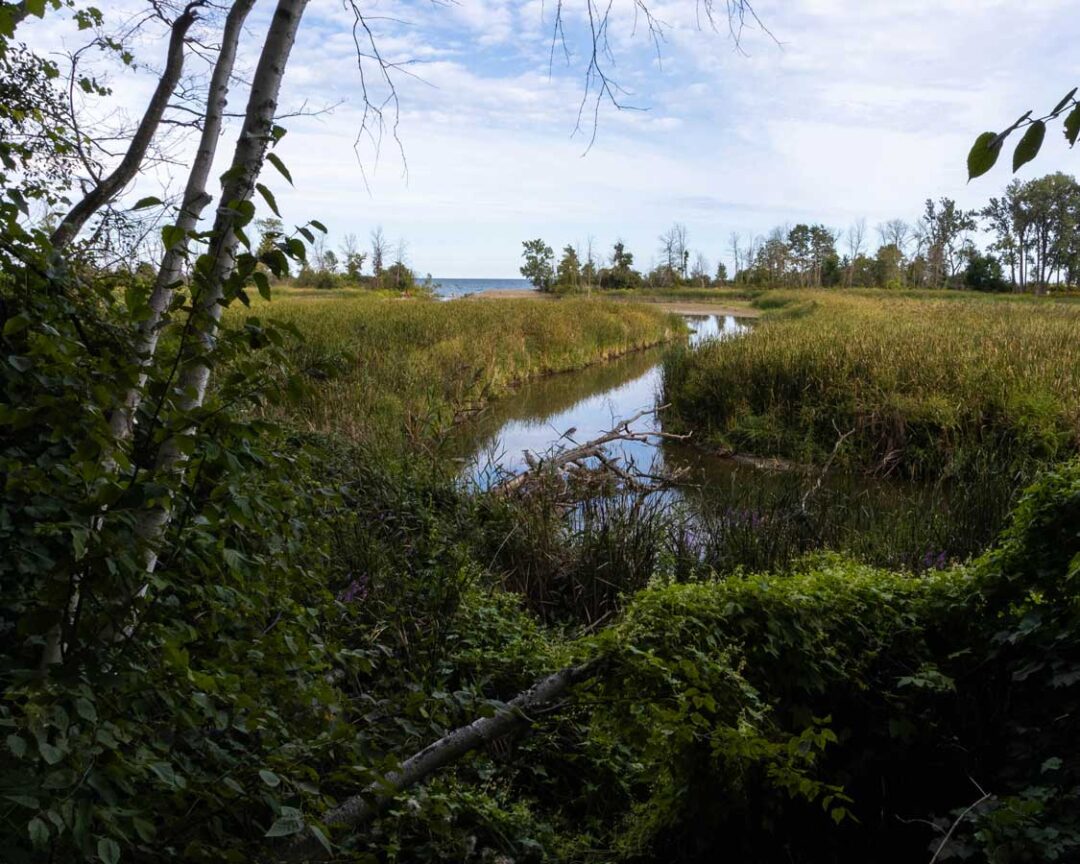 The Best Things To Do In Mississauga: How To Experience The Best Of The ...